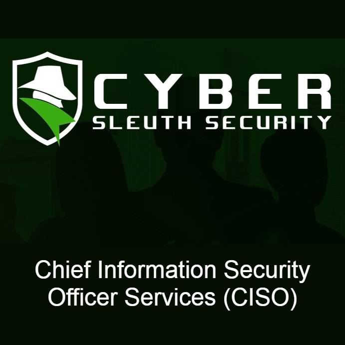 Best Virtual Chief Information Security Officer Services (CISO) | Cyber ...